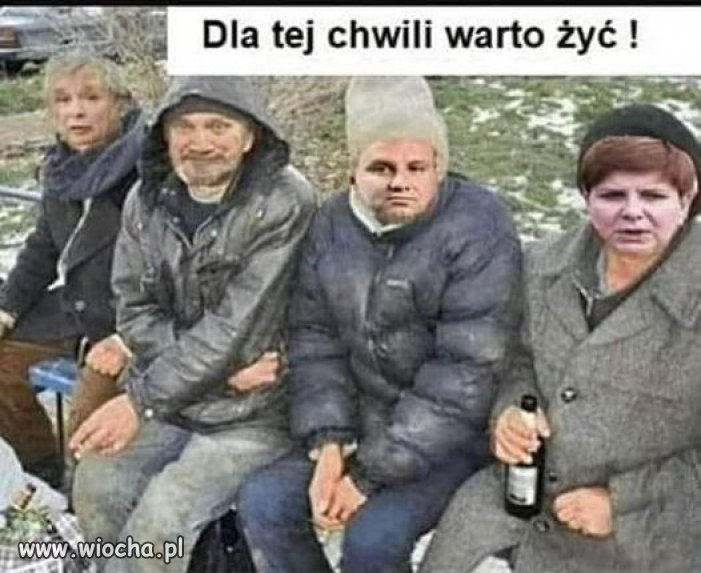 Menele - wiocha.pl absurd 1736556