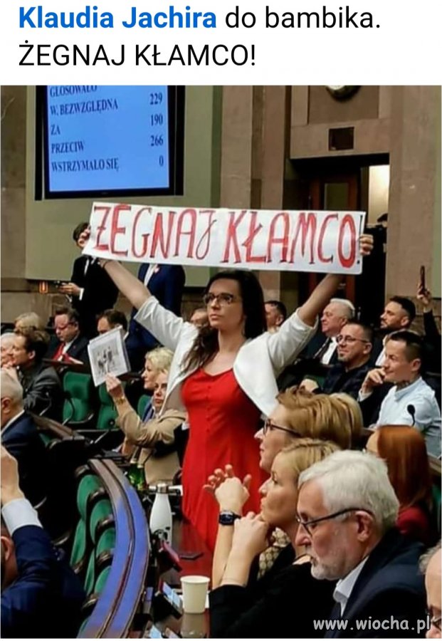 Buahahaha - wiocha.pl absurd 1778764