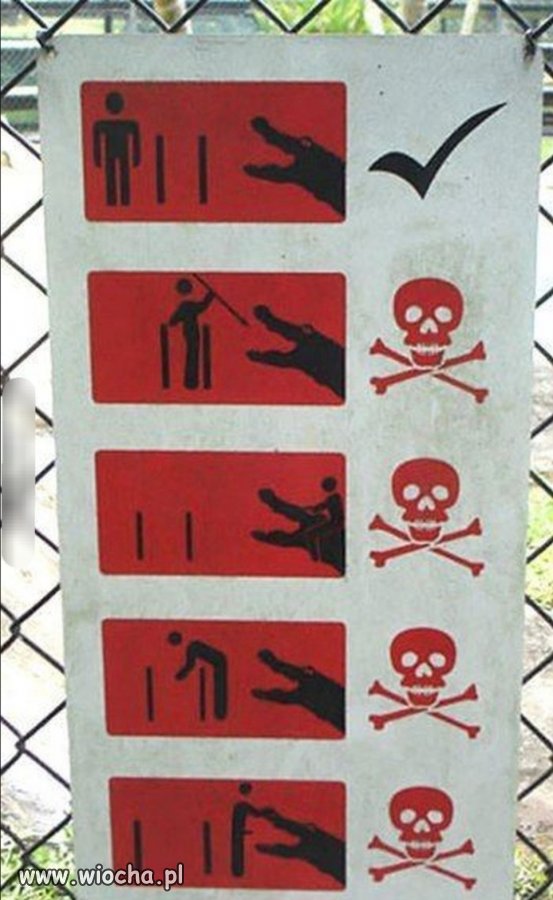 Co za czasy - wiocha.pl absurd 1840312