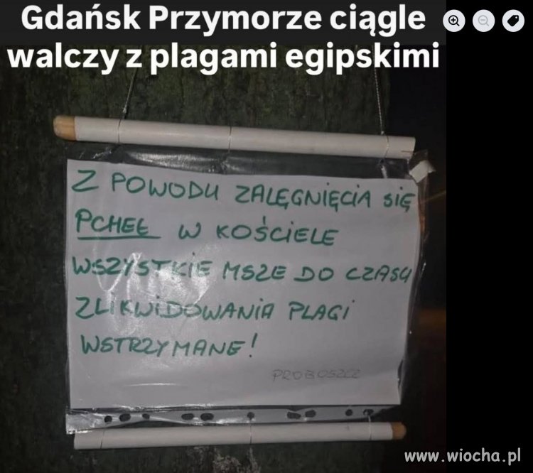 Buk tak chciał - wiocha.pl absurd 1850751