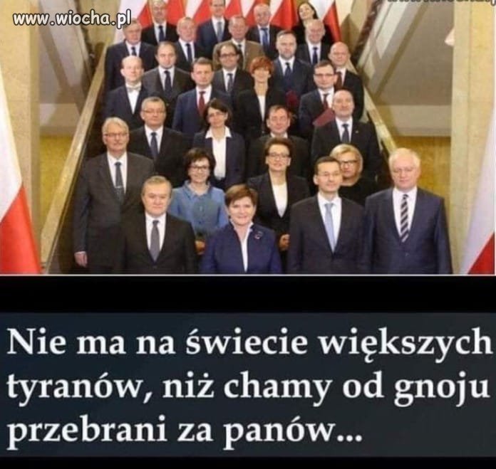 wiocha.pl absurd 1734837