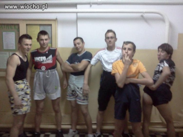 Wiocha totalna - wiocha.pl absurd 256852