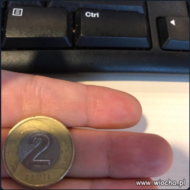 Wiocha.pl - Absurdy polskiego internetu: Nasza-Klasa, Facebook, Fotka ...