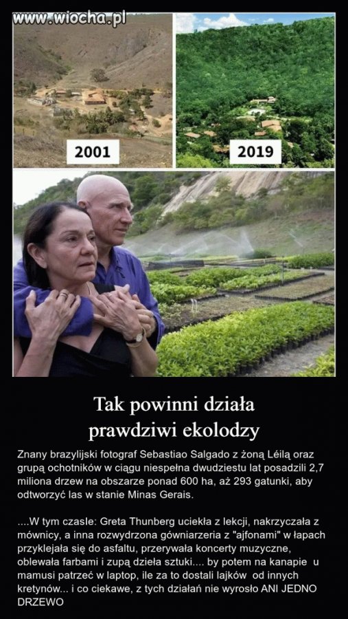 Wiocha.pl - Absurdy polskiego internetu: Nasza-Klasa, Facebook, Fotka ...