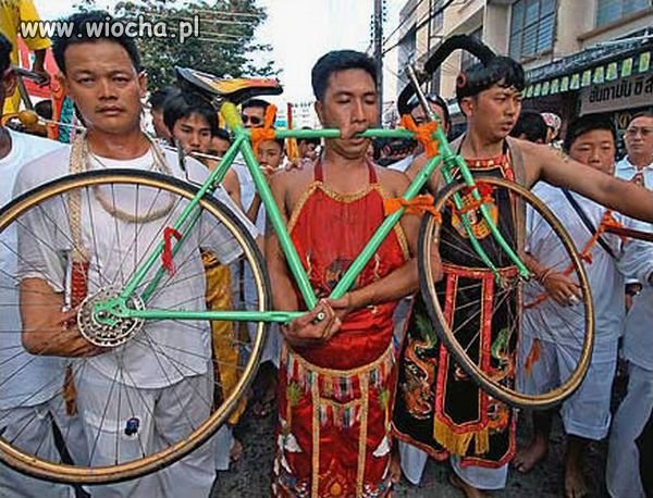 Wiocha.pl - Absurdy polskiego internetu: Nasza-Klasa, Facebook, Fotka ...