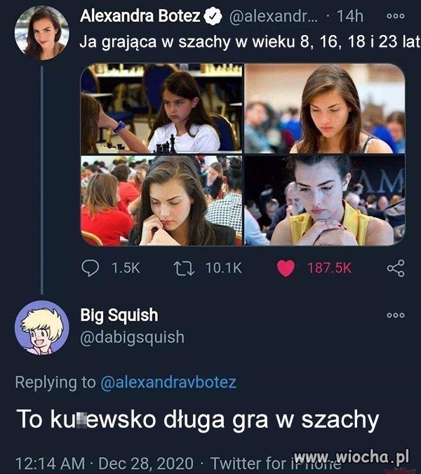 Szachy. - wiocha.pl absurd 1731574