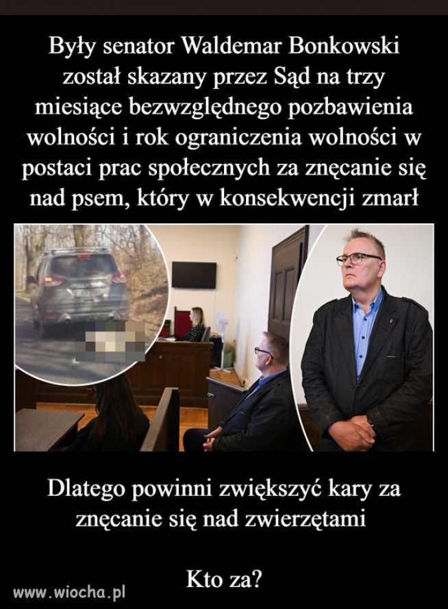 Wiocha.pl - Absurdy polskiego internetu: Nasza-Klasa, Facebook, Fotka ...