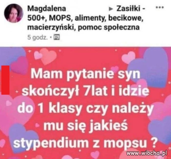 Stypendium dla każdego - wiocha.pl absurd 1828657